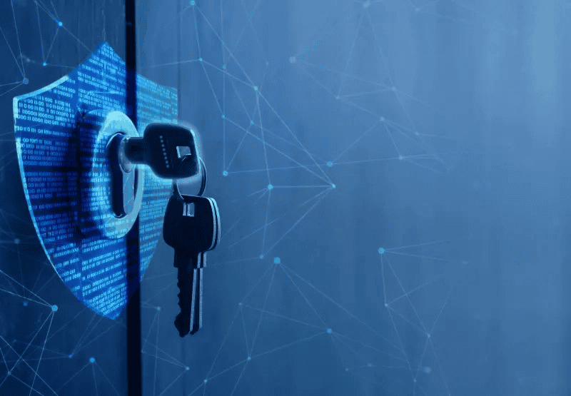 Cyber Security Services in the USA - Cyber Bark LLC